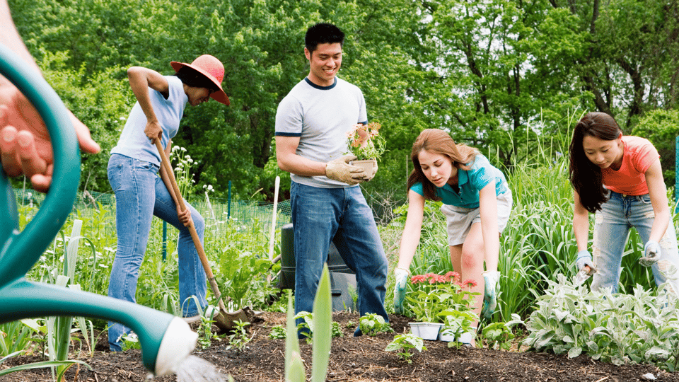 18 benefits of volunteering to get you inspired