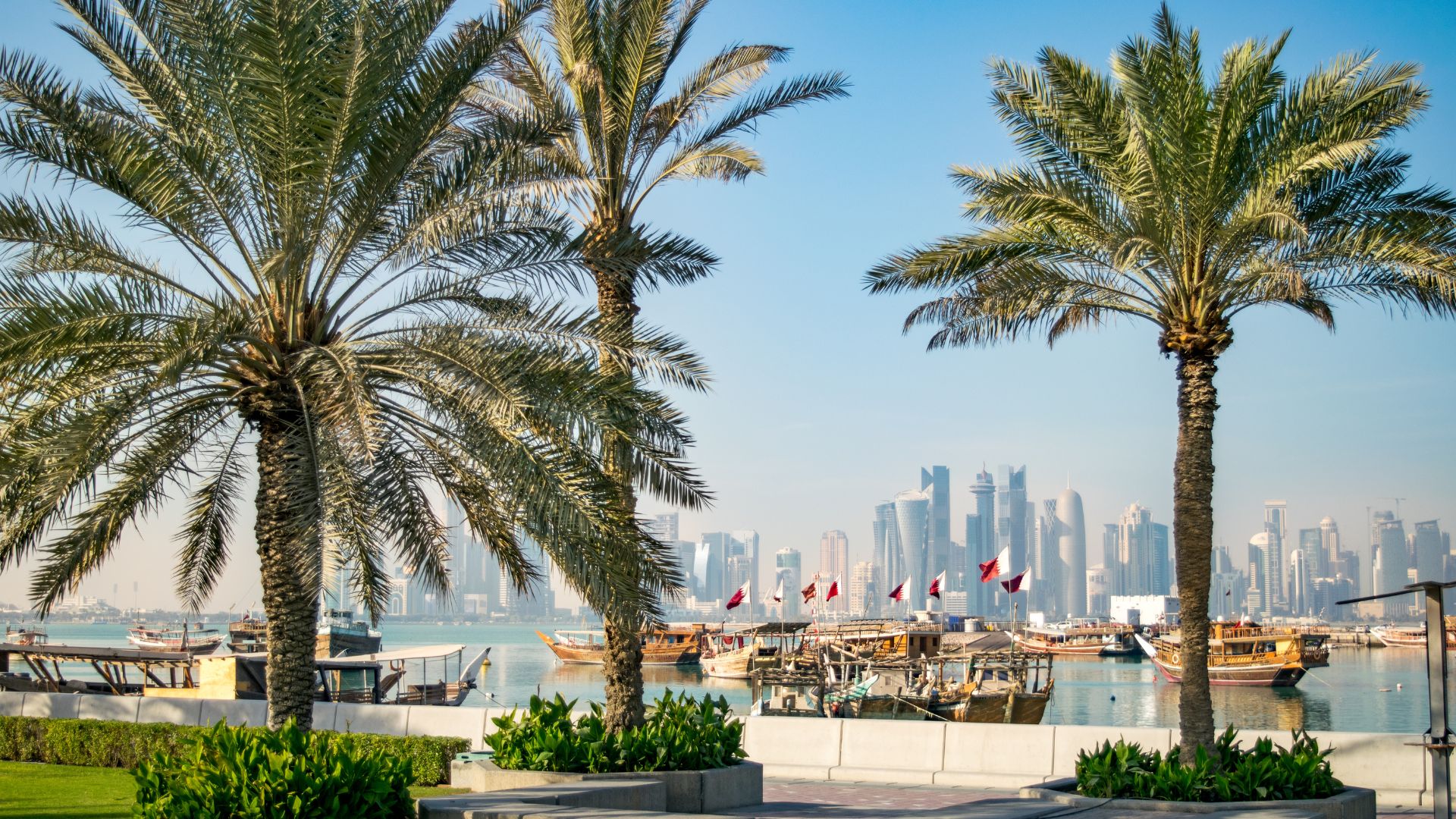 Case Study: How Rosterfy helped Expo 2023 Doha to scale up their ...